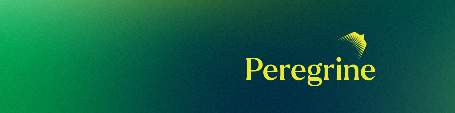 Discover how to optimise AI applications for the public sector